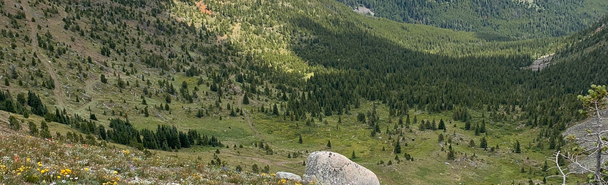 Apex Mountain Trail: 15 Reviews, Map - British Columbia, Canada | AllTrails