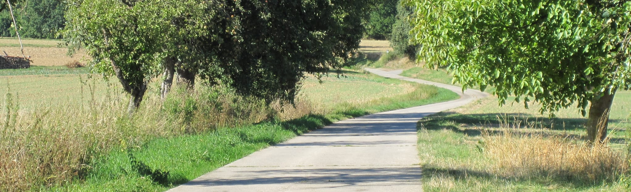 Rundwanderweg Helmstadt 2: Reichartshausen-Weg, Baden-Württemberg ...