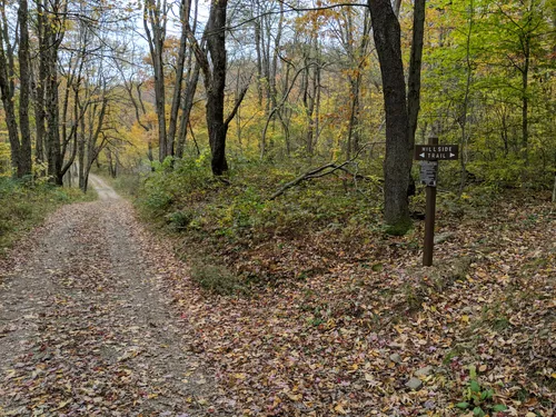 10 Best Hikes and Trails in Roaring Run Natural Area | AllTrails