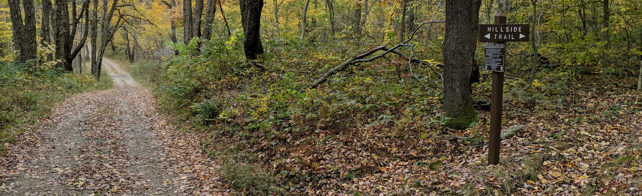 Roaring Run Ramble Trail, Pennsylvania - 112 Reviews, Map | AllTrails