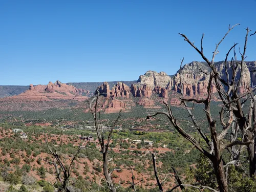 10 Best Hikes and Trails in Coconino National Forest | AllTrails