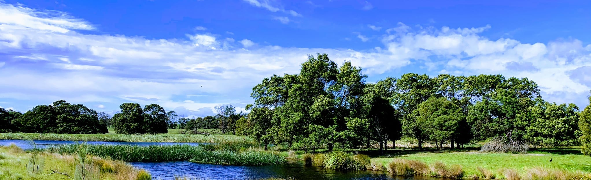 Perched Swamp and Trig Point Walk, Victoria, Australia - 180 Reviews ...