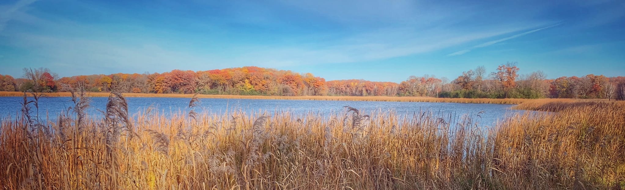 Anderson Hill, Big Woods, and Bjorkland Trail Loop, Minnesota - 241 ...