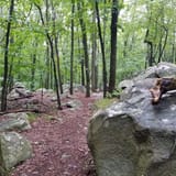Mountain Way White Trail Loop, New Jersey - 172 Reviews, Map | AllTrails
