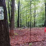 Mountain Way White Trail Loop, New Jersey - 172 Reviews, Map | AllTrails
