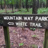 Mountain Way White Trail Loop, New Jersey - 172 Reviews, Map | AllTrails