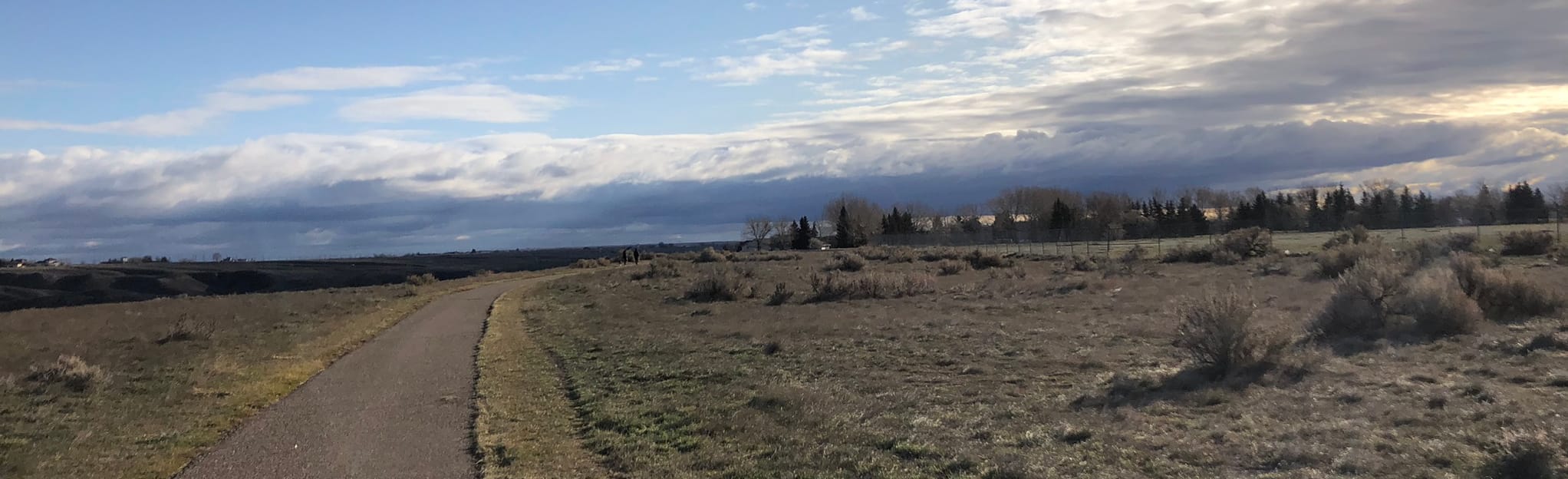 Stampede Grounds Loop: 98 Reviews, Map - Alberta, Canada | AllTrails