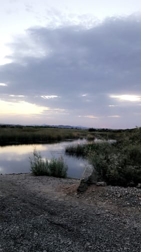 Best Hikes and Trails in Mittry Lake Wildlife Area | AllTrails