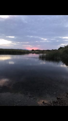 Best Hikes and Trails in Mittry Lake Wildlife Area | AllTrails