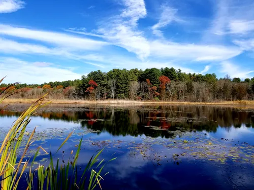 Best Hikes and Trails in Ross Marsh Wildlife Area | AllTrails