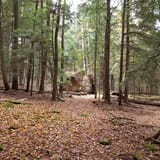 Cook Trail, Pennsylvania - 162 Reviews, Map | AllTrails