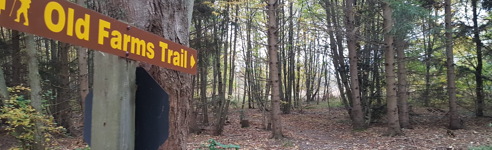 Old Farms Trail, Ontario, Canada - 141 Reviews, Map | AllTrails