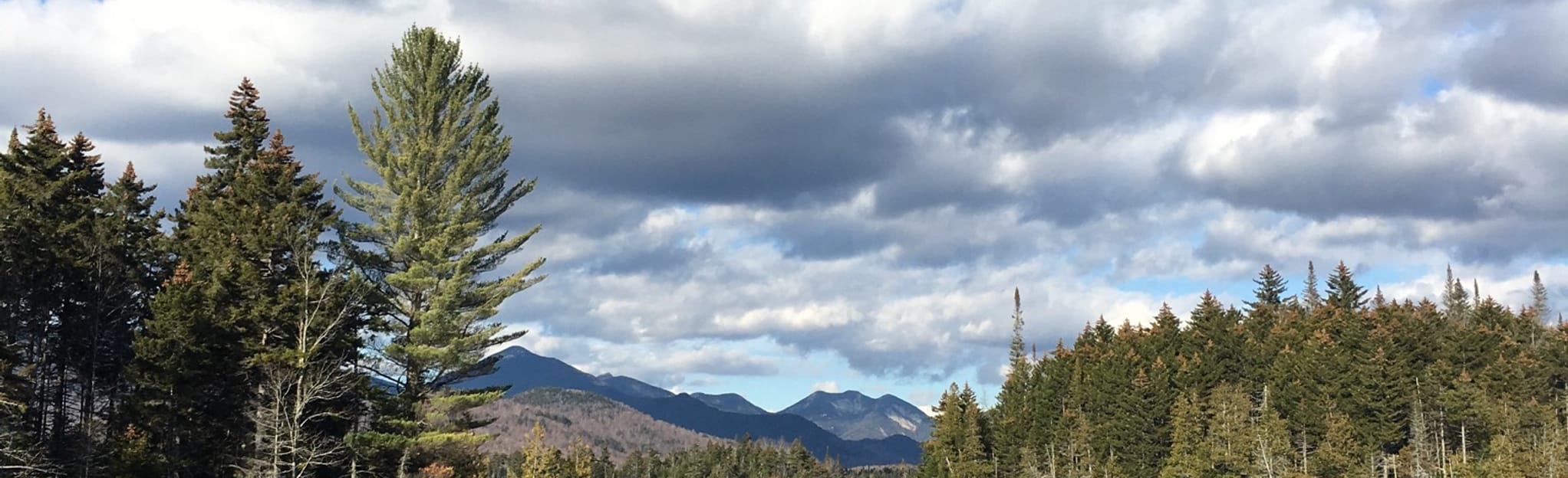 Boreas Ponds Trail: 45 Reviews, Map - New York | AllTrails