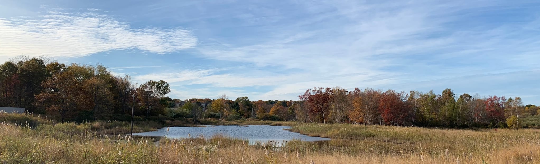Silver Sands State Park Trail, Connecticut - 991 Reviews, Map | AllTrails