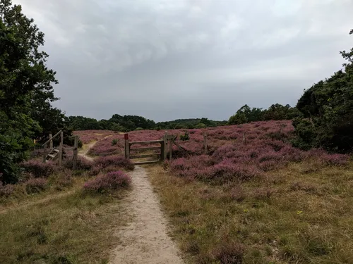 Best national parks in Skåne, Sweden | AllTrails