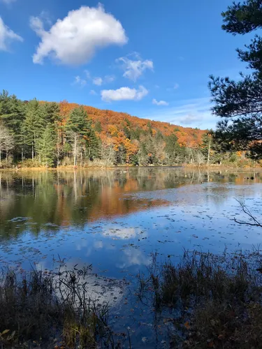Best Hikes and Trails in Nipmuck State Forest | AllTrails