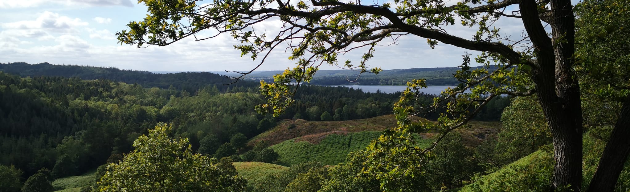 Himmelbjerg Route: Julsø, Slåensø and Himmelbjerget via Hotel Julsø ...