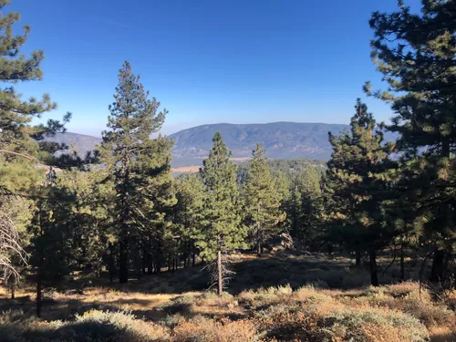 10 Best Trails and Hikes in Frazier Park | AllTrails