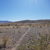 St. Thomas to Overton Beach, Nevada - 9 Reviews, Map | AllTrails