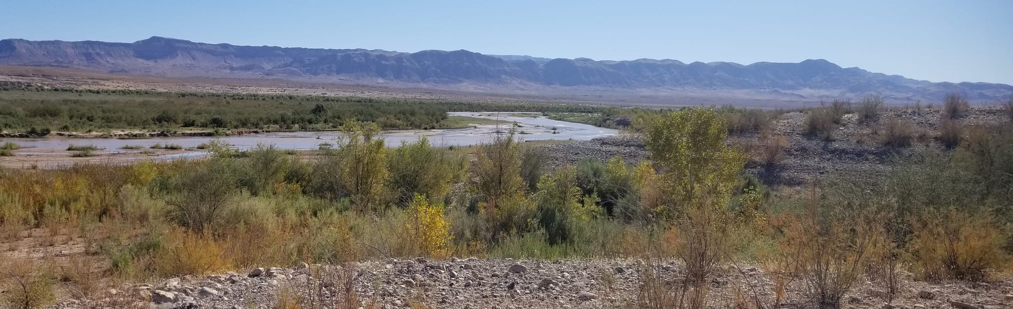 St. Thomas to Overton Beach, Nevada - 8 Reviews, Map | AllTrails