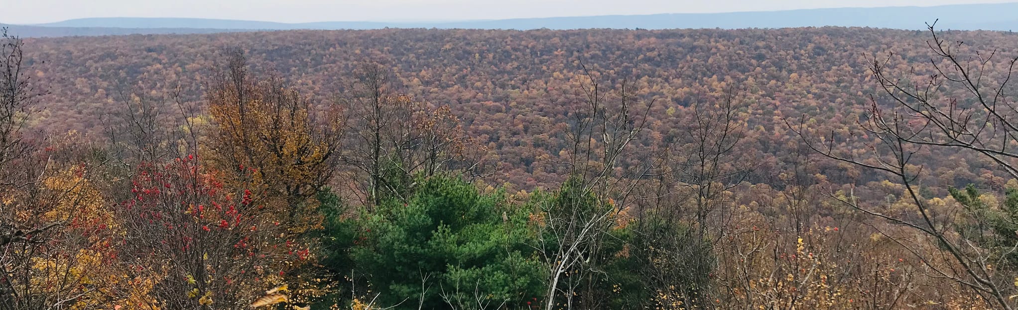 Musser Gap, MST and Jackson Trail Loop, Pennsylvania - 46 Reviews, Map ...