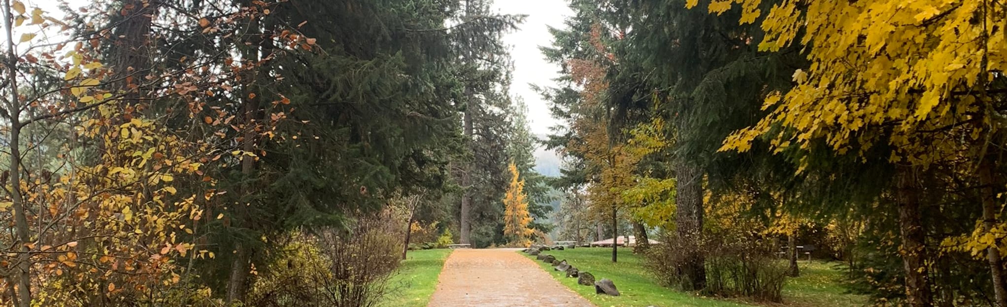 Higgens Point, Idaho - 140 Reviews, Map | AllTrails