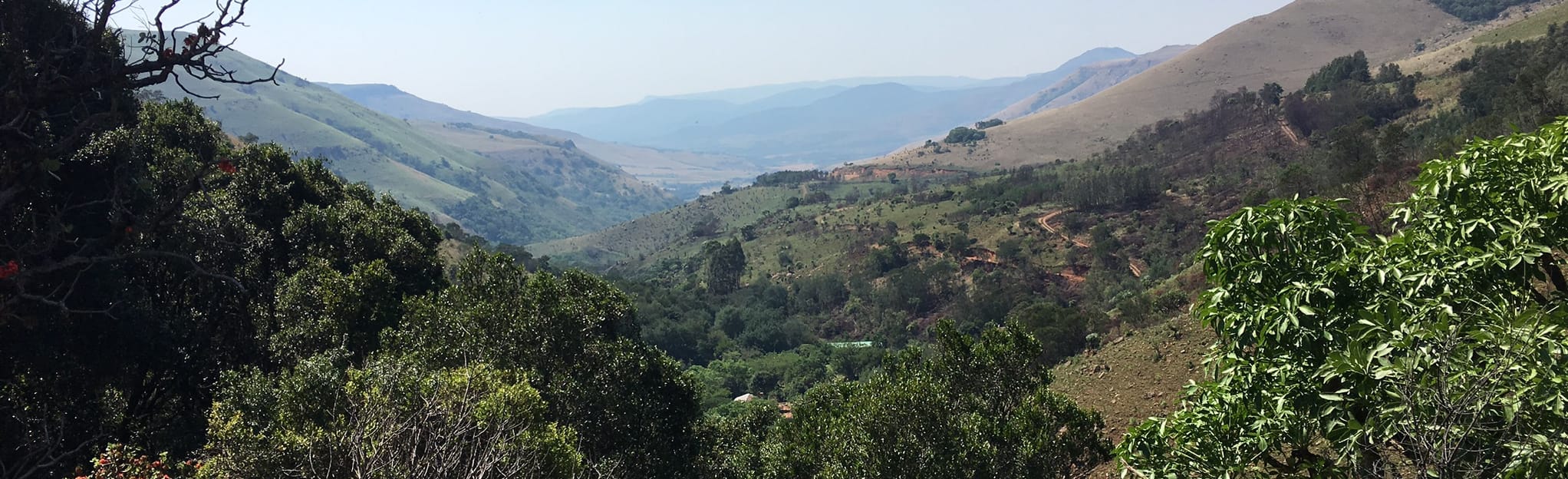 Bosbok Trail, Mpumalanga, South Africa - 10 Reviews, Map | AllTrails