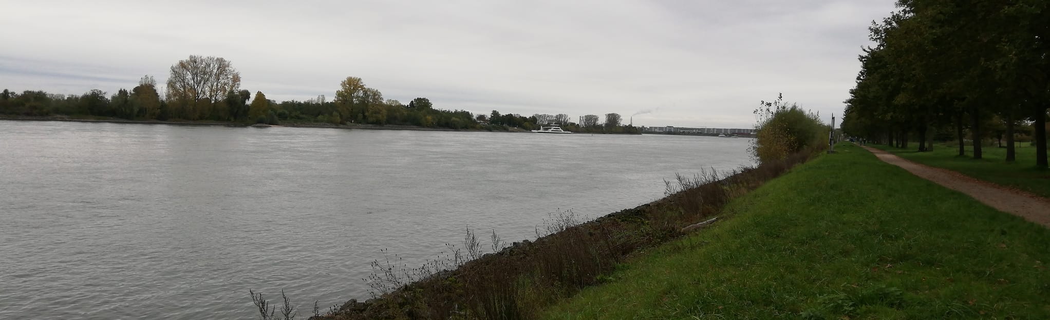 Rhine Walk near Gernsheim, Hesse, Germany - 5 Reviews, Map | AllTrails
