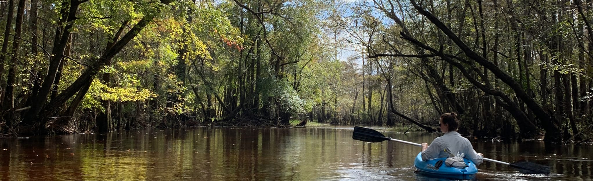 Black River Paddling Route, North Carolina - 18 Reviews, Map | AllTrails