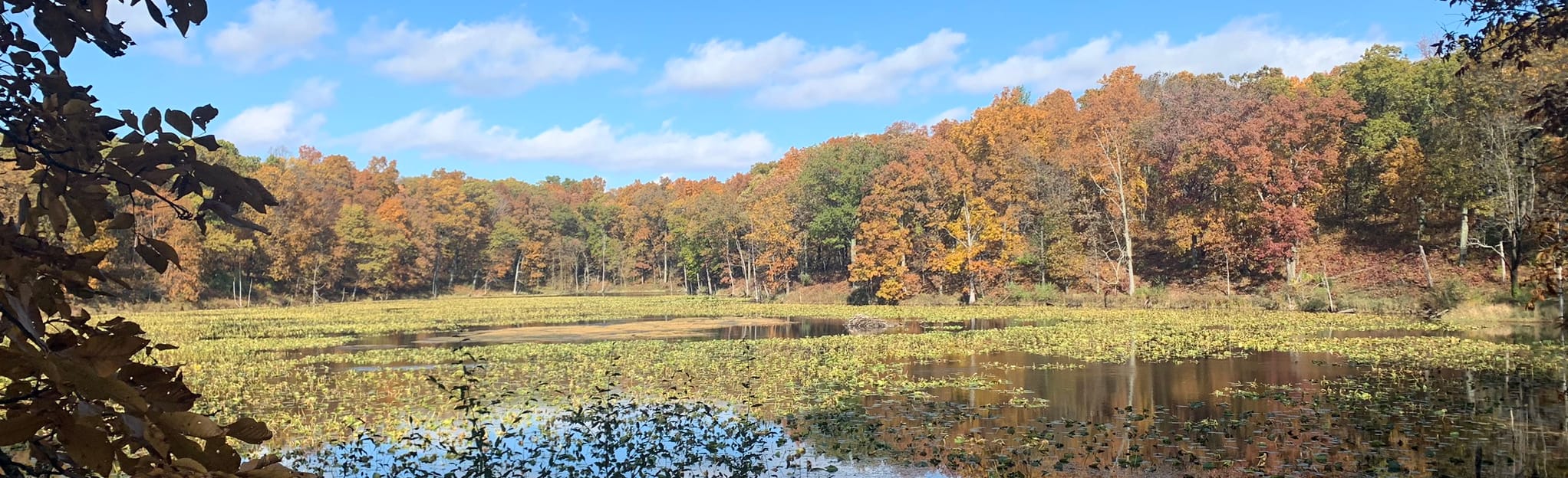 Fort Custer Red Trail: 255 Reviews, Map - Michigan | AllTrails