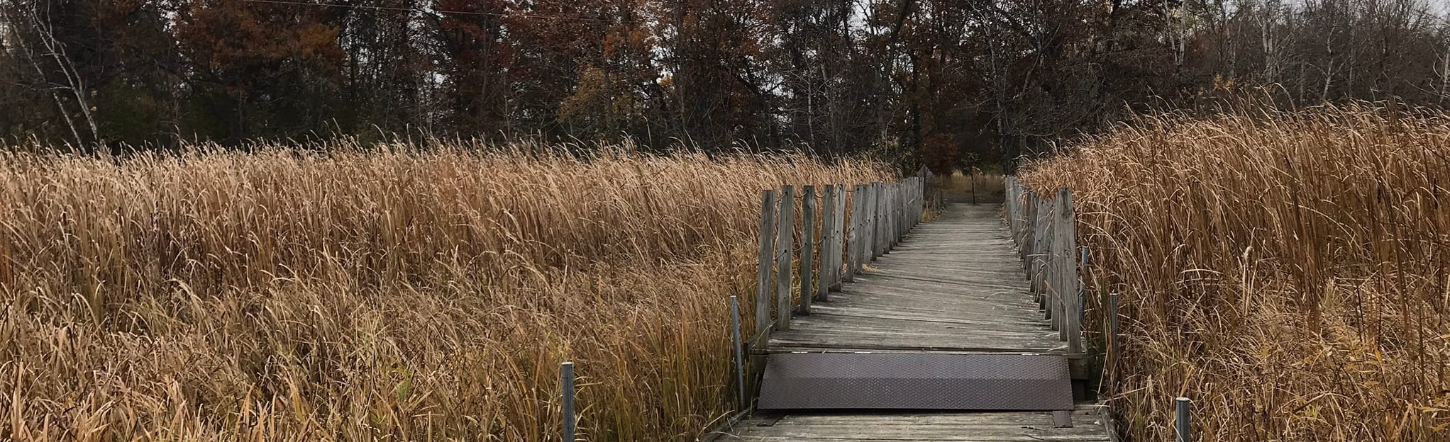 Lake George Regional Park Loop, Minnesota - 126 Reviews, Map | AllTrails