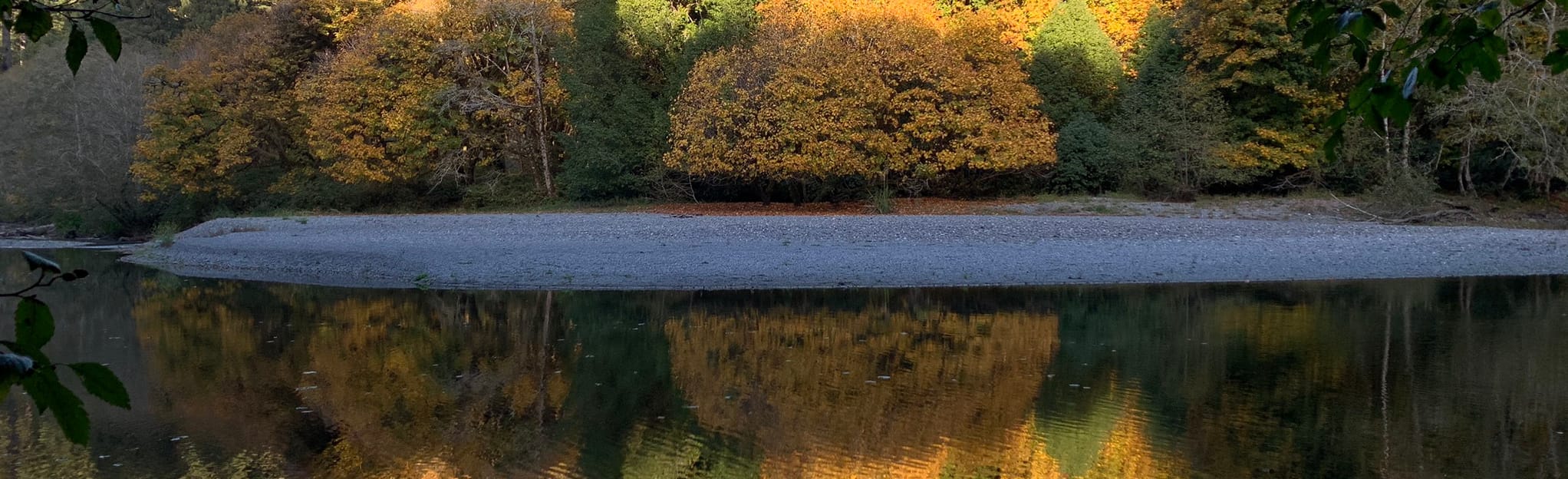 Orick Horse Trails to Elam Camp: 53 Reviews, Map - California | AllTrails