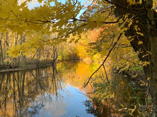 Best Hikes and Trails in Burchfield Park | AllTrails