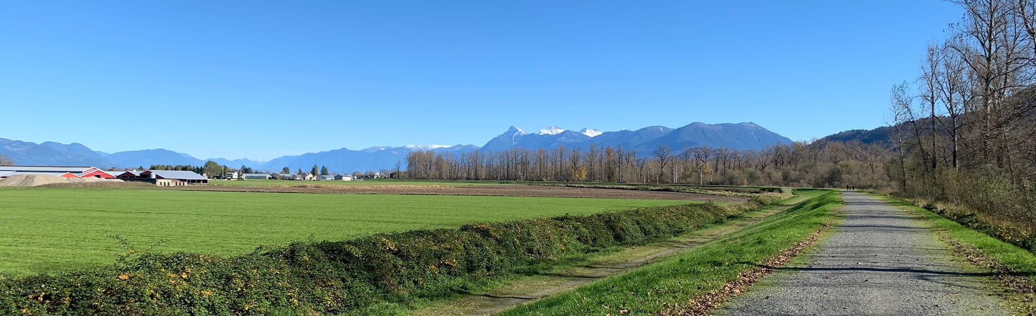 Blue Heron Loop: Rotary Vedder River - Vedder North Dyke: 237 Reviews ...