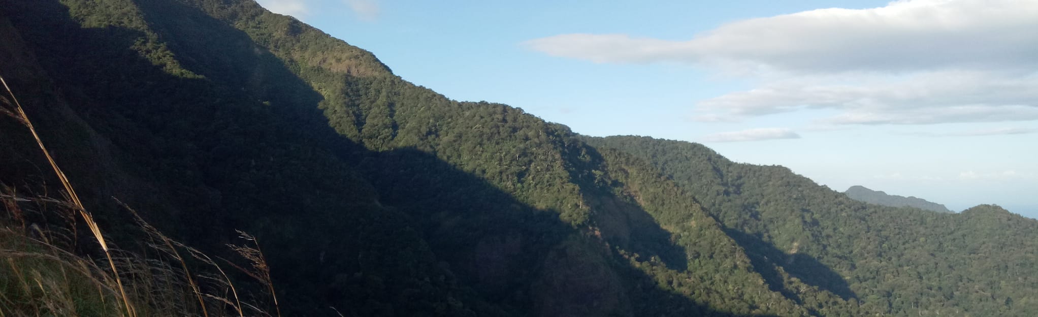 Mariveles Peaks Traverse: 2 Reviews, Map - Bataan, Philippines | AllTrails