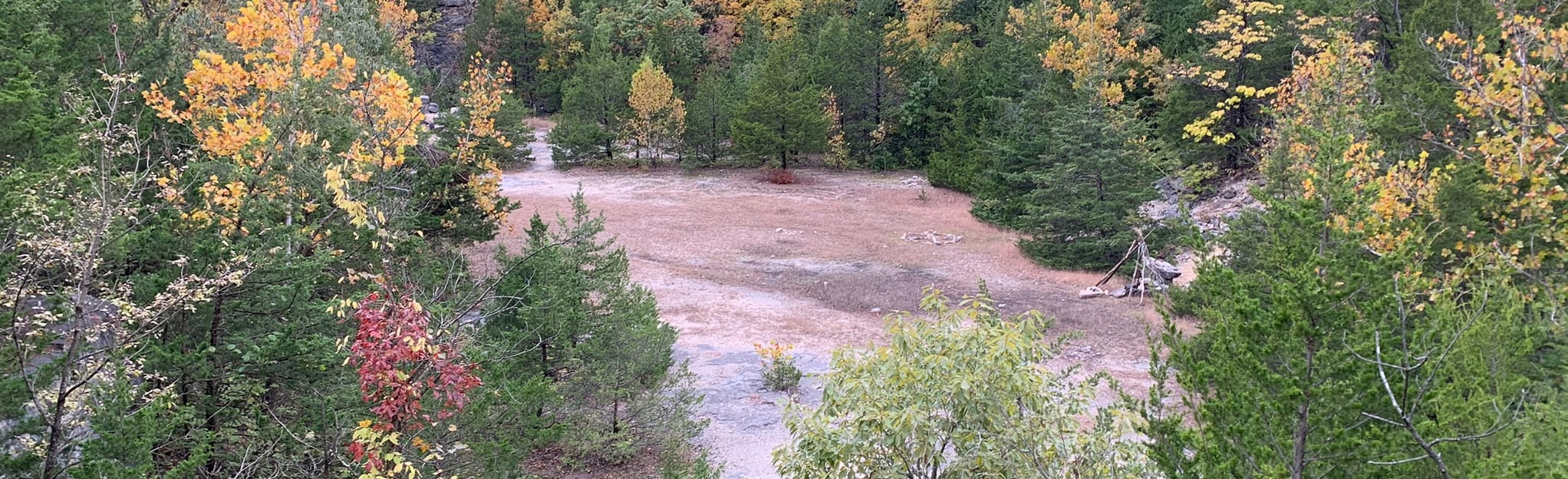 Cosmo Park Trail: 203 Reviews, Map - Missouri | AllTrails