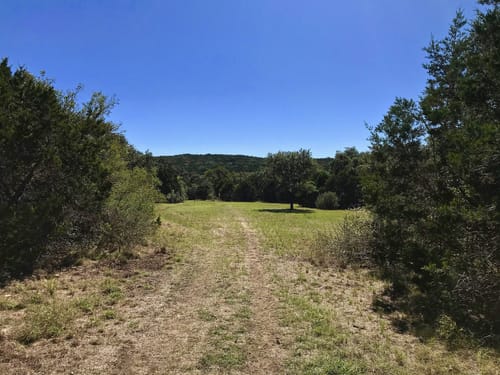 2023 Best Forest Trails in Helotes | AllTrails