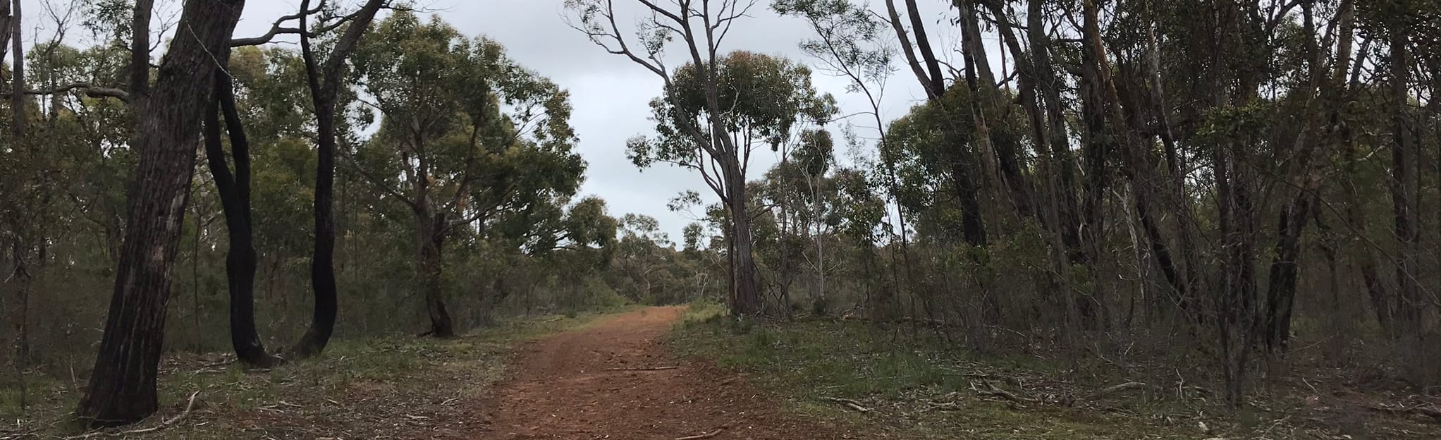 Burchell Trail, Bracken Track, and Banksia Track Circuit: 43 Reviews ...