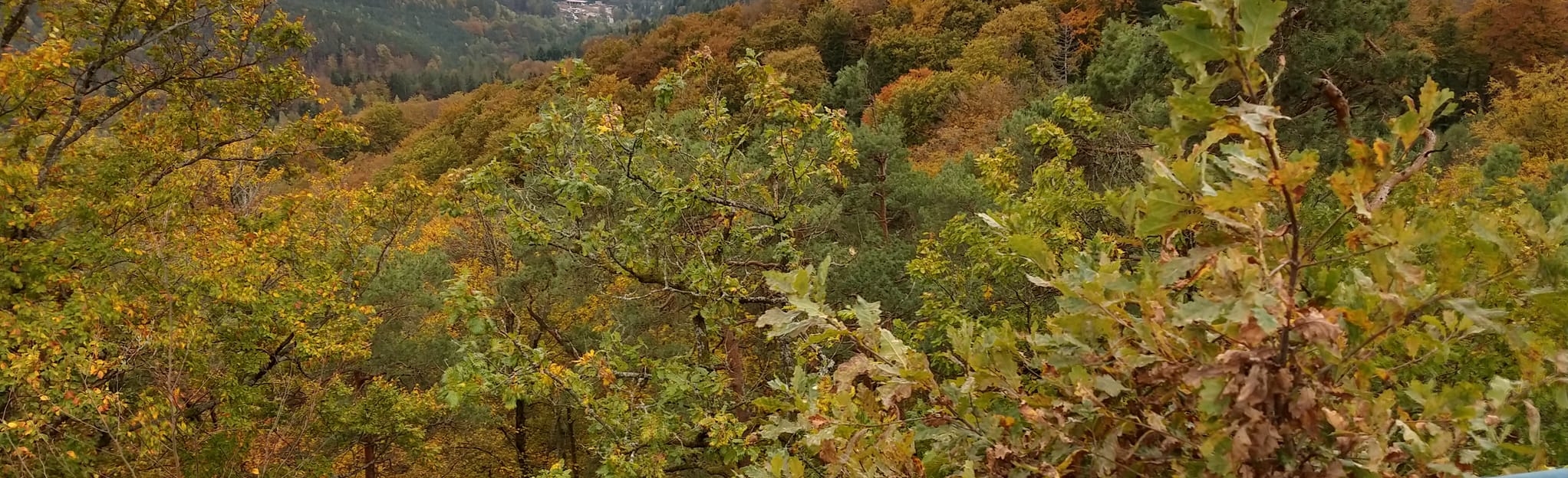 Münchweiler an der Rodalb Höhenwanderweg: 3 Reviews, Map - Rhineland ...