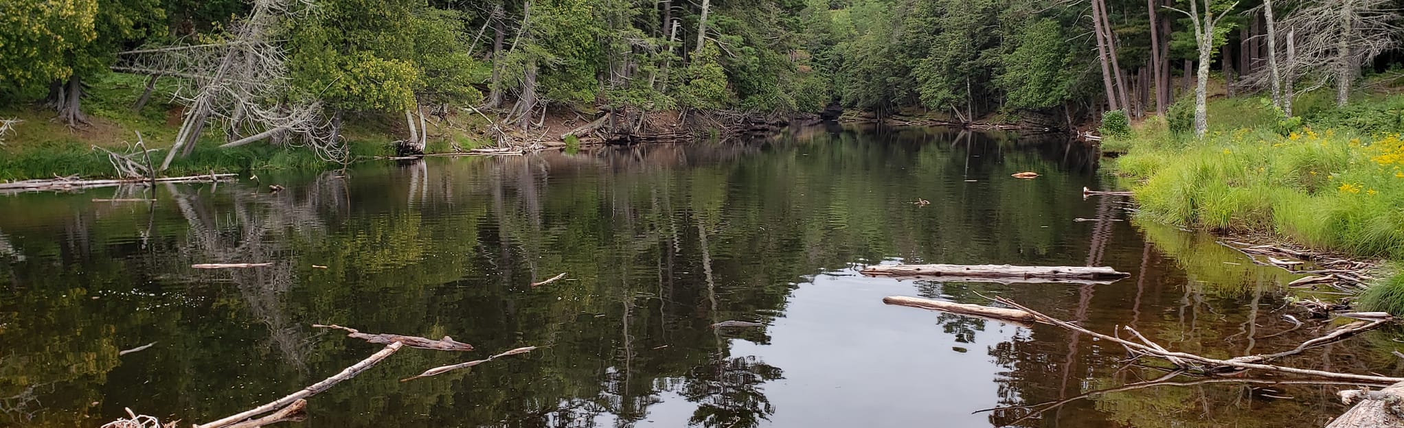 Presque Isle River Waterfalls Trail, Michigan - 289 Reviews, Map ...