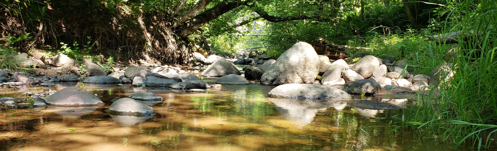 Superior Hiking Trail: Becks Road to Fond du Lac: 51 Reviews, Map ...