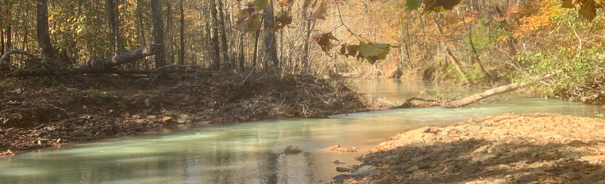 Ozark Highlands Trail to Mulberry River via Route 21: 23 Reviews, Map ...