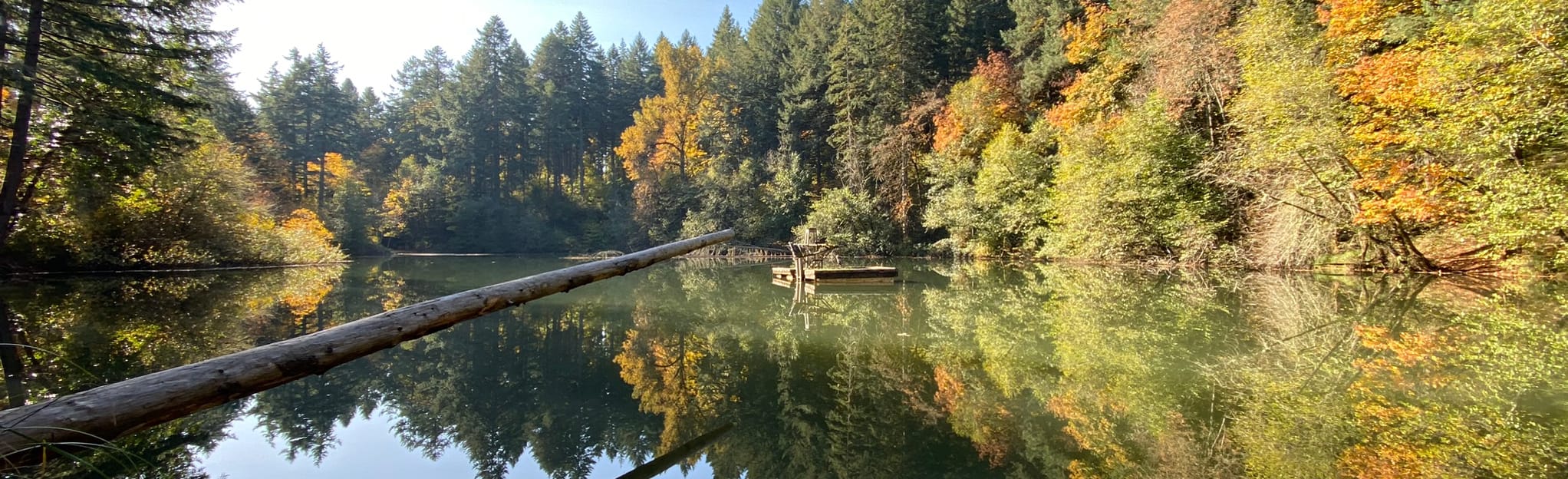 Cronemiller Lake, Oregon - 327 Reviews, Map | AllTrails