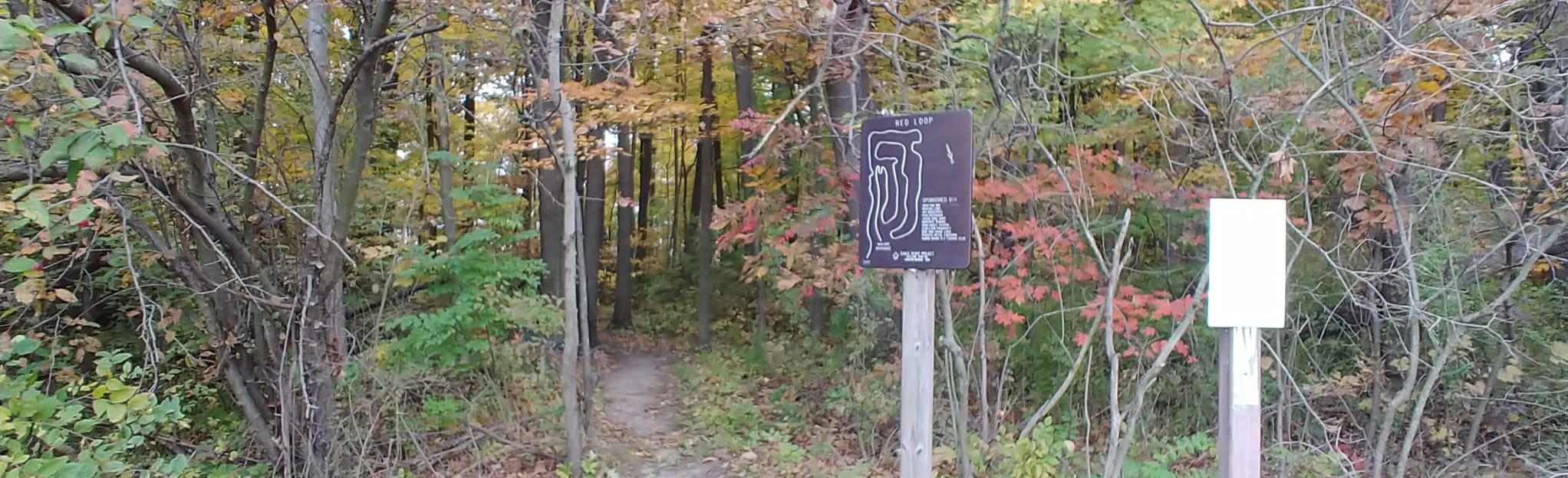 Munson Park Mountain Bike Trail, 19 Fotos - Michigan | AllTrails