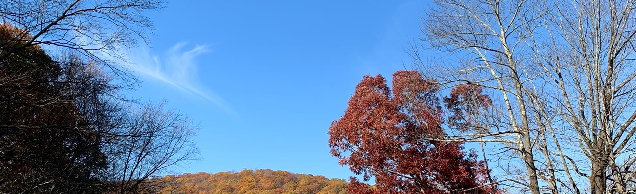 Macedonia State Park Orange Trail | Map, Guide - Connecticut | AllTrails