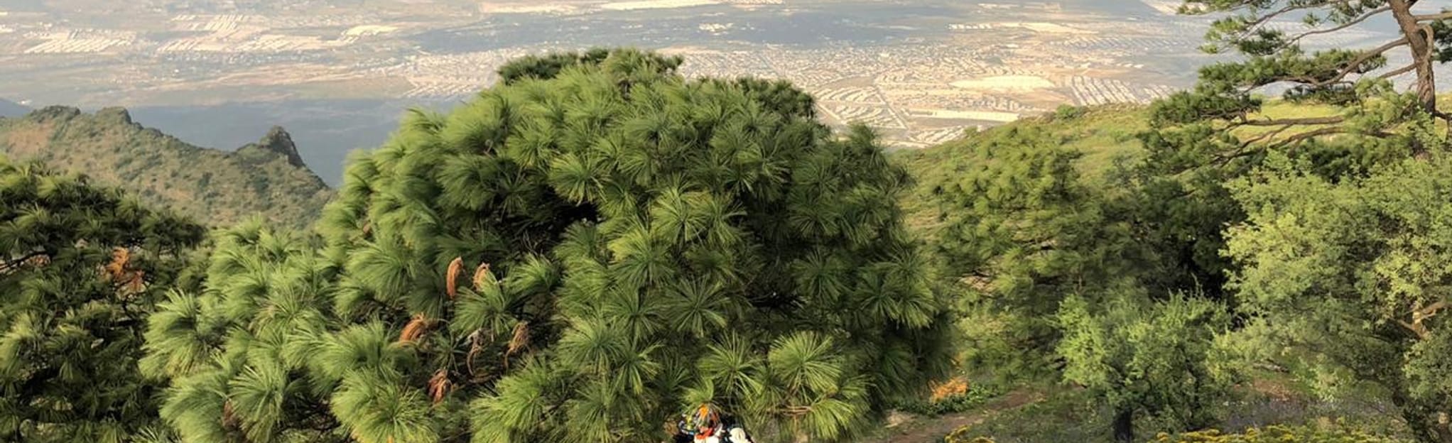 El Volcán - Cerro la Mota Chica: 2 foto - Nuevo León, Messico | AllTrails