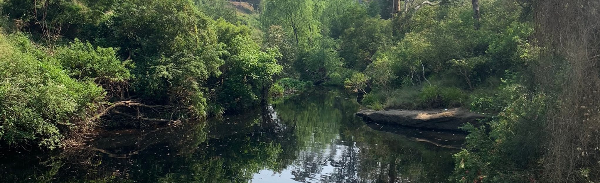 Great West Walk: Parramatta to Blacktown, New South Wales, Australia ...