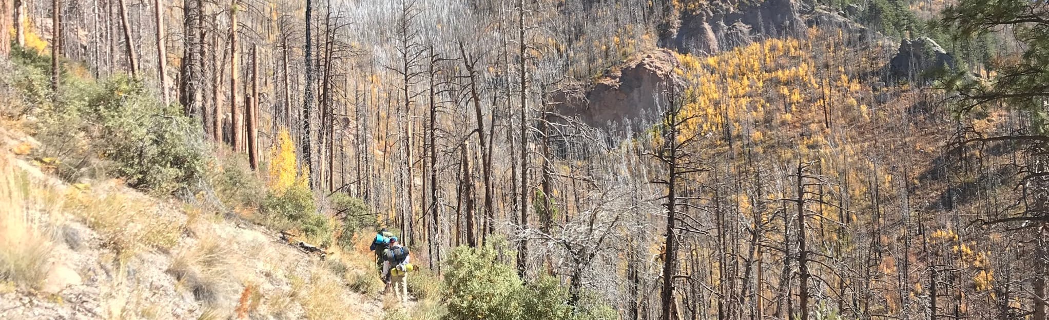 Redstone Trail | Map, Guide - New Mexico | AllTrails