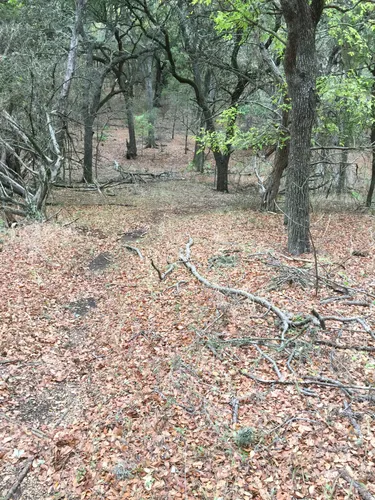 Best Hikes and Trails in Schulle Canyon Natural Area | AllTrails