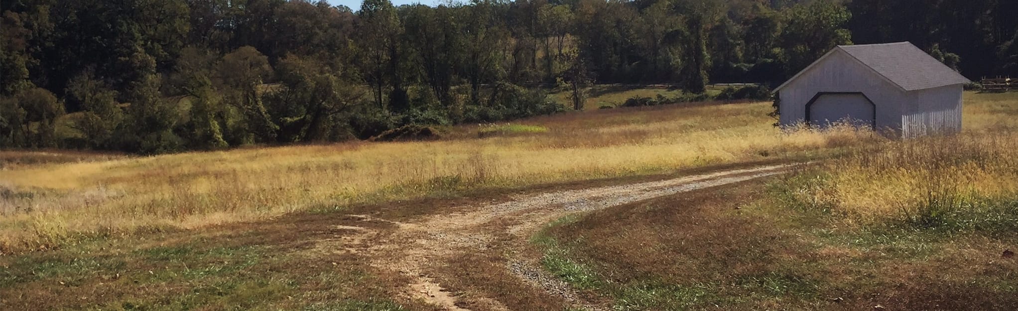 Millstone Loop, Delaware - 144 Reviews, Map | AllTrails